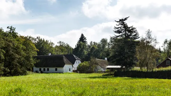 Viborg Plantage - Naturstyrelsen